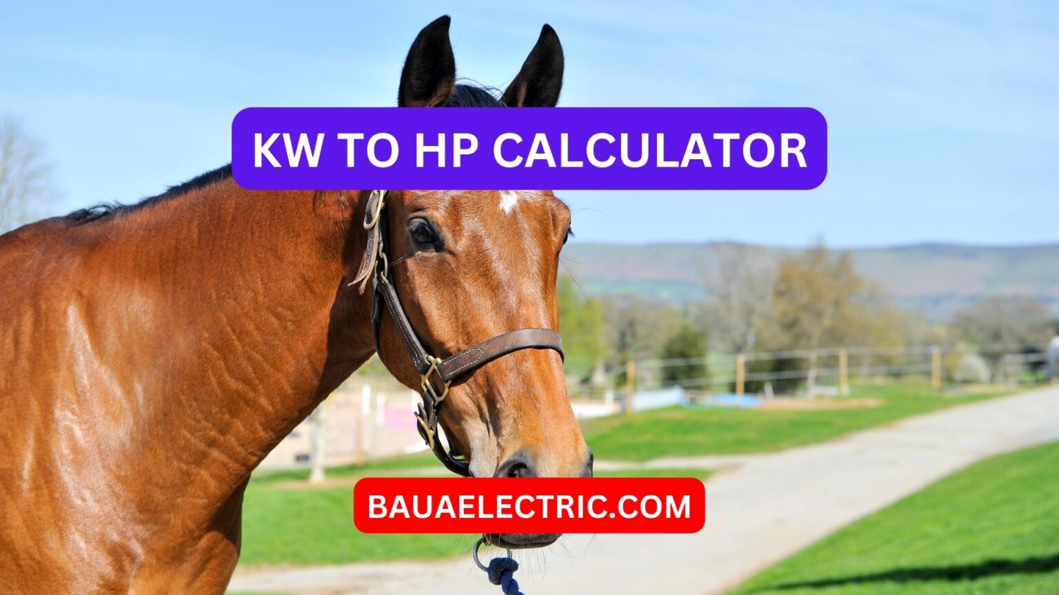Kilowatt (kW) to horsepower (hp) conversion calculator | Bauaelectric ...